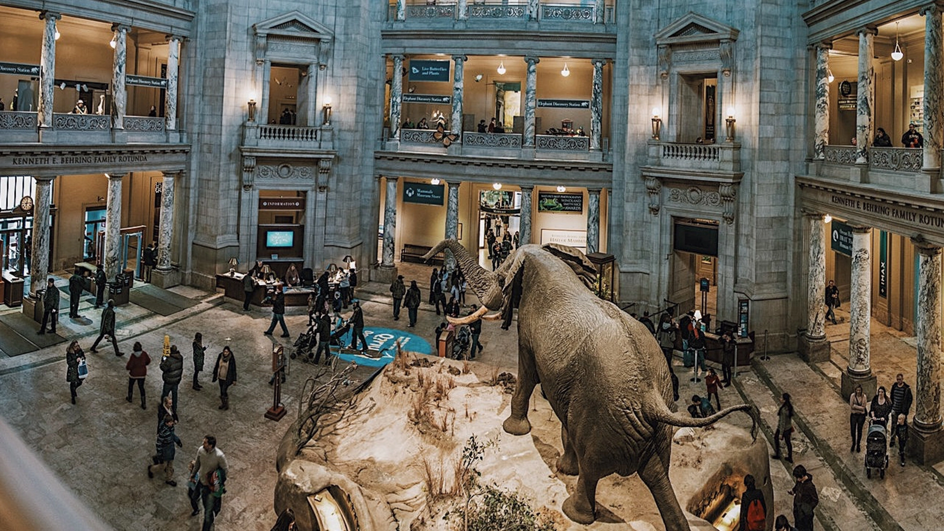 National Museum of Natural History + American History Museum Tour